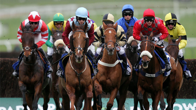 Book a Race Night for your next event from Arena Entertainment